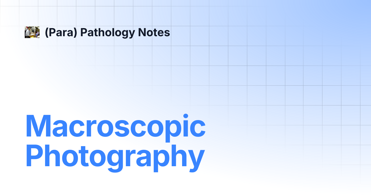 Macroscopic Photography | (Para) Pathology Notes