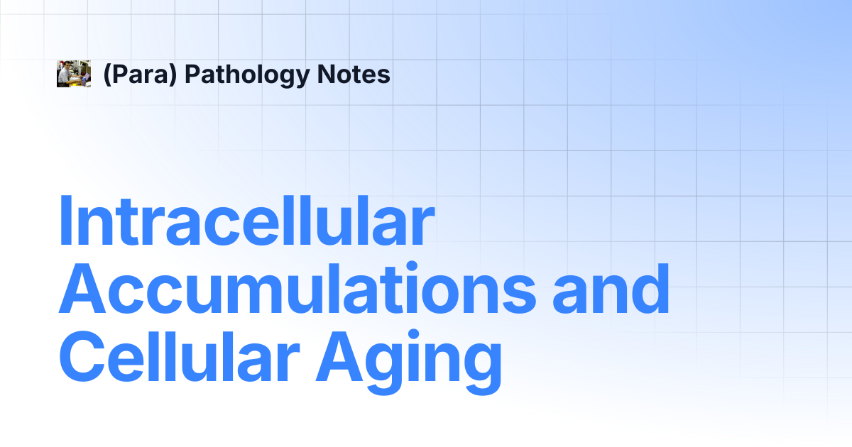 Intracellular Accumulations and Cellular Aging | (Para) Pathology Notes